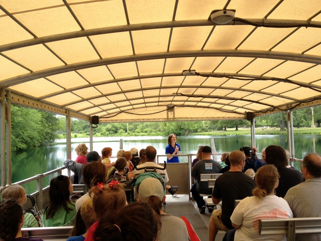 Exploring the Kansas City Zoo With a 6 Year Old