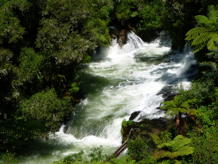 14 Fun Facts to Know About Rotorua, New Zealand
