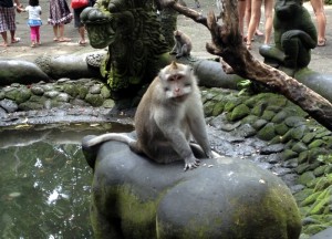 Exploring Bali With Nyoman Sulastra