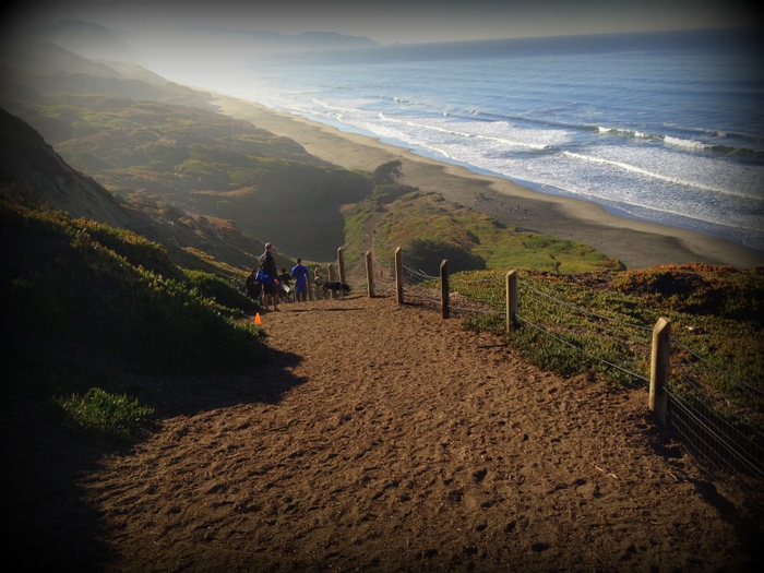 Discovering Fort Funston for a Beach Walk in San Francisco