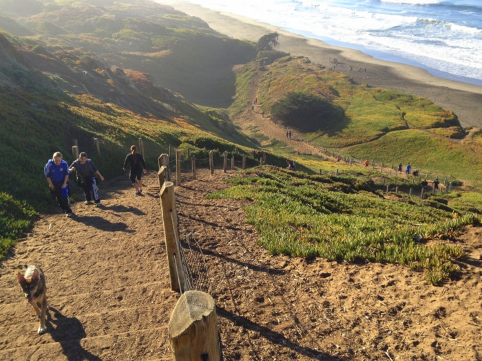Discovering Fort Funston for a Beach Walk in San Francisco