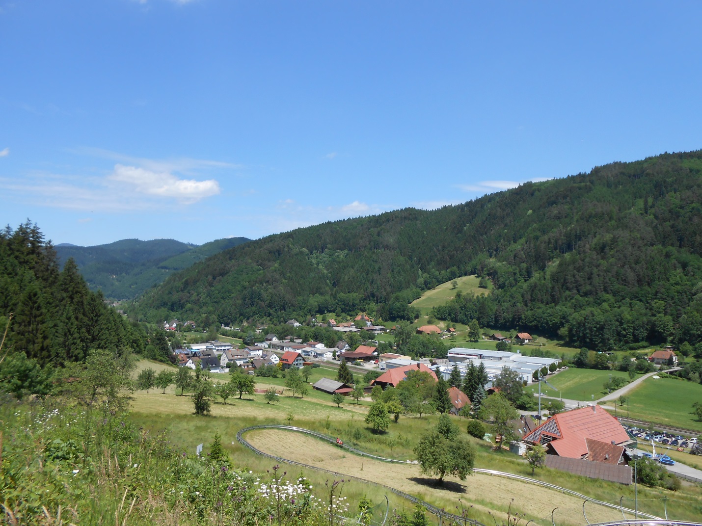 Riding the Sommerroldelbahn Through Germany’s Black Forest