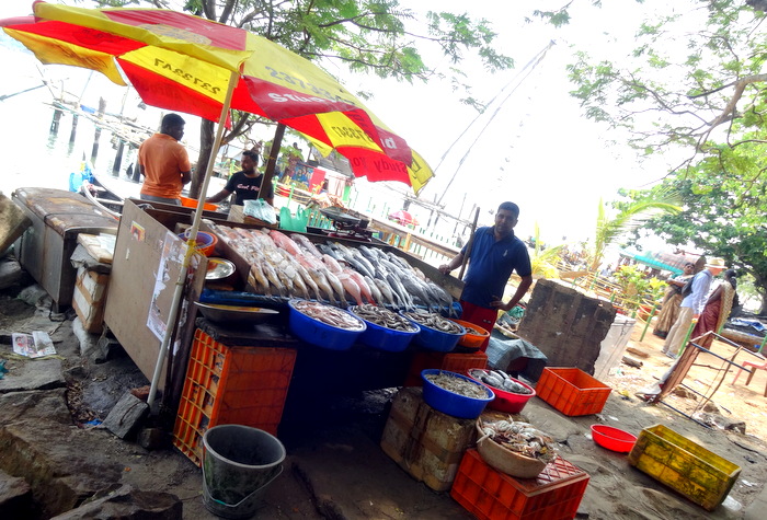 Exploring the Sights of Cochin, India