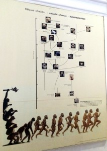 Experiencing the Life and Lore of Colombo, Sri Lanka