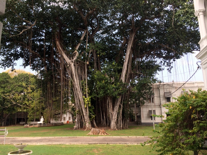 Experiencing the Life and Lore of Colombo, Sri Lanka