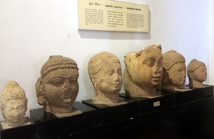 Experiencing the Life and Lore of Colombo, Sri Lanka