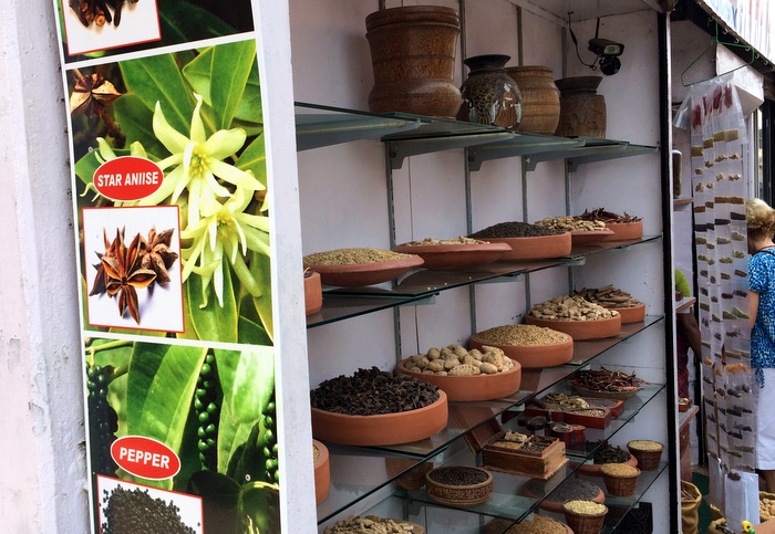 Exploring the Sights of Cochin, India
